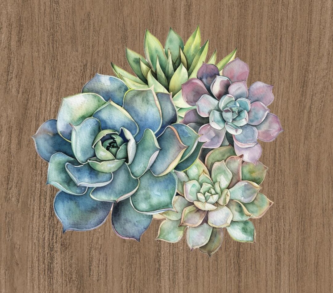 Succulent Sticker: Waterproof Gloss Finish, Matte Finish - Etsy