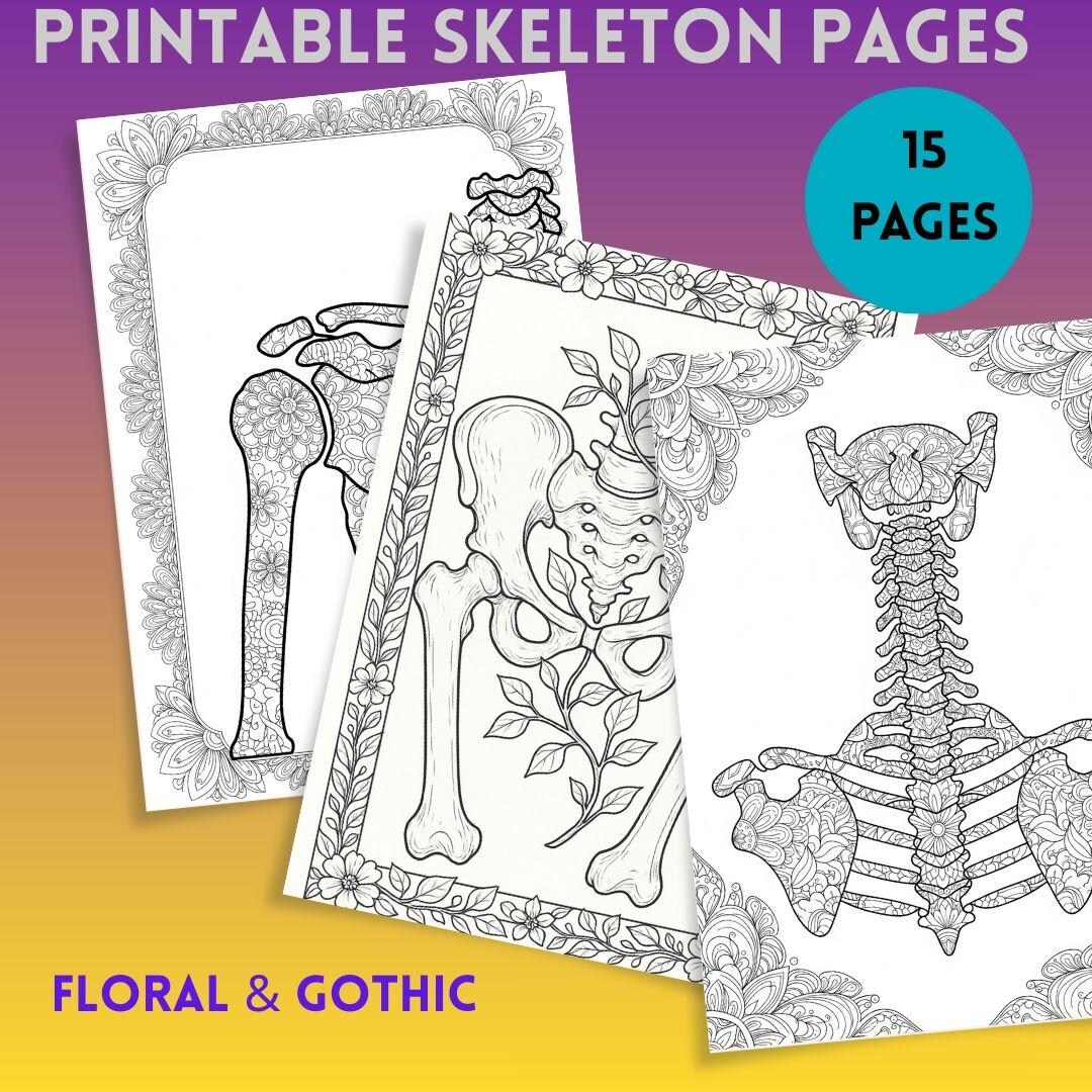 Anatomical Skeleton Coloring Pages Printable | Human Bones With Floral ...