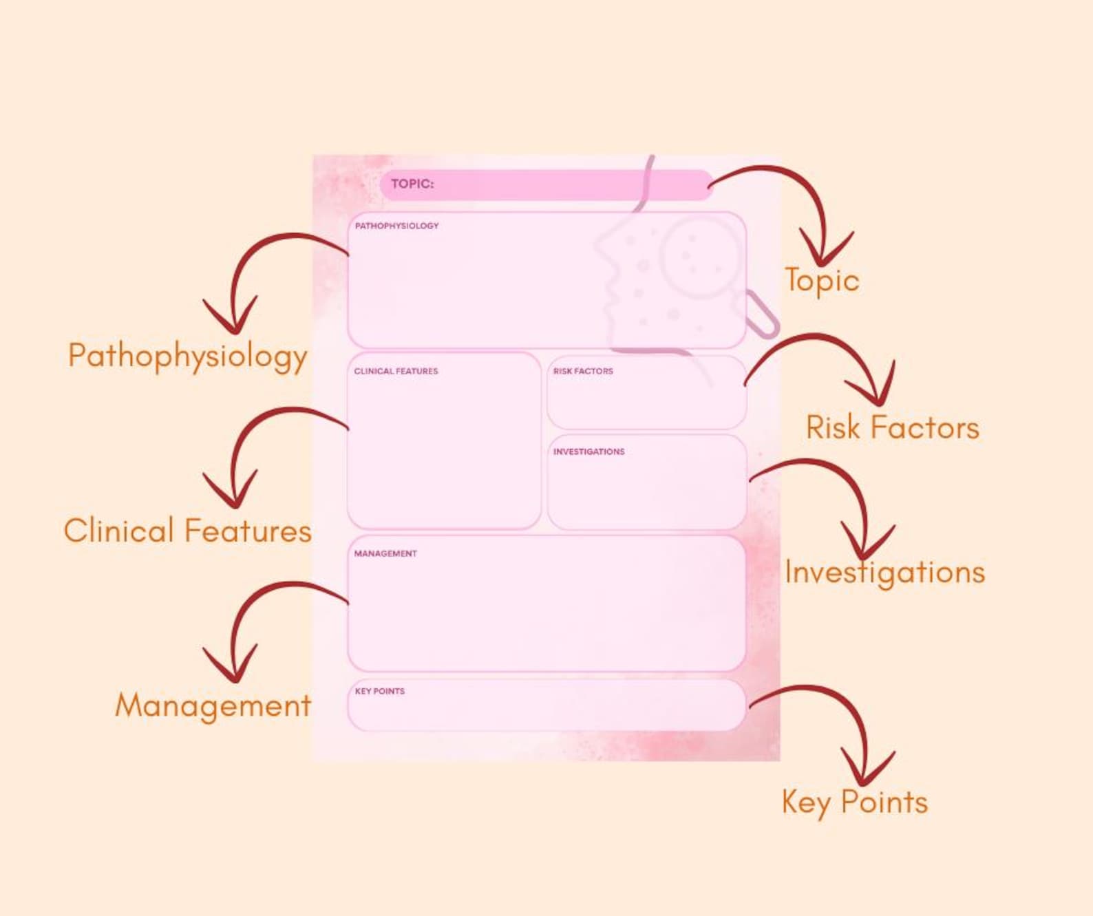 Editable Disease Worksheets| Revision Worksheets| Medical Worksheets ...