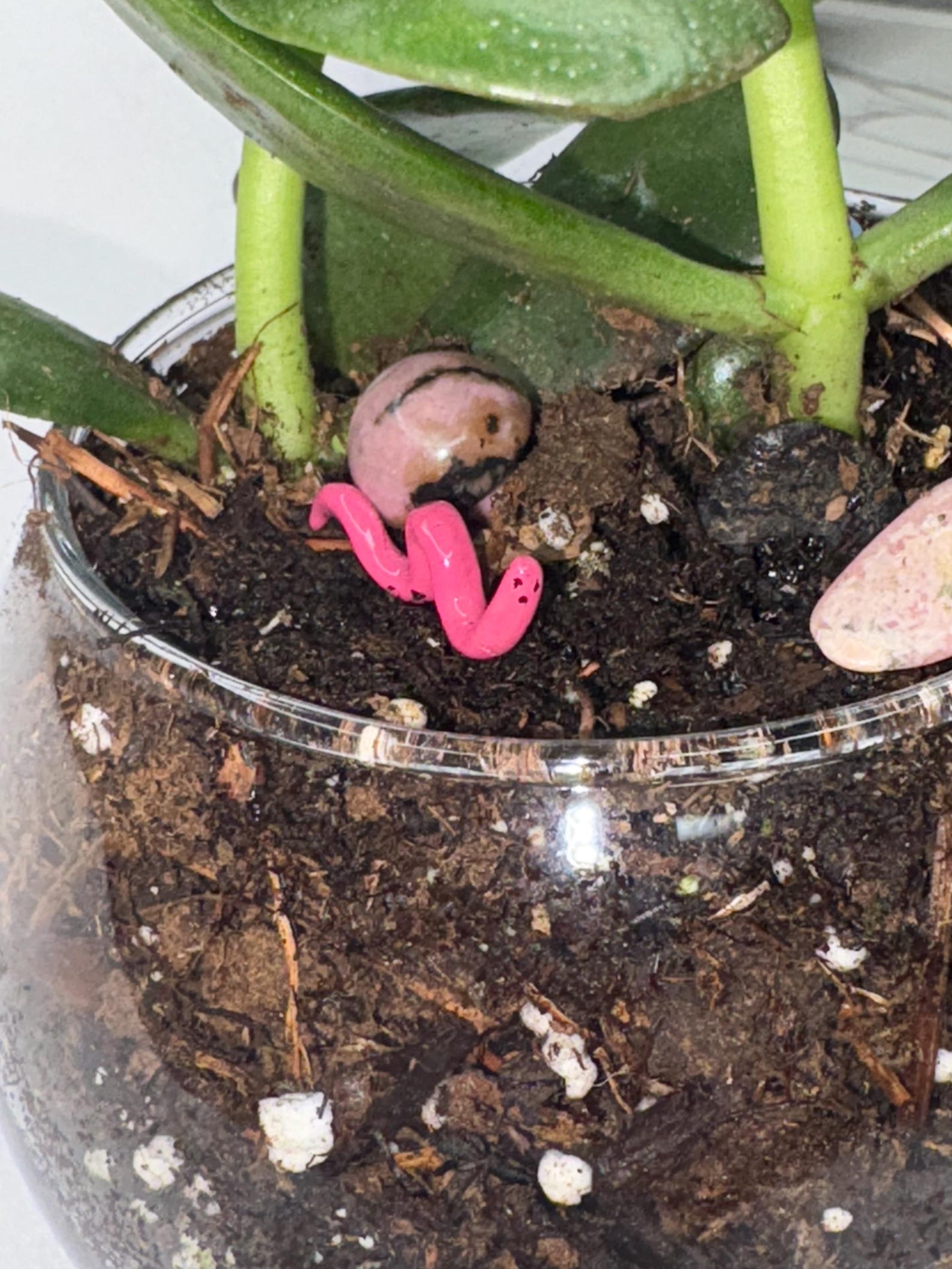 Mini Clay Garden Creatures – Handmade Snail & Worm Plant Decor ...