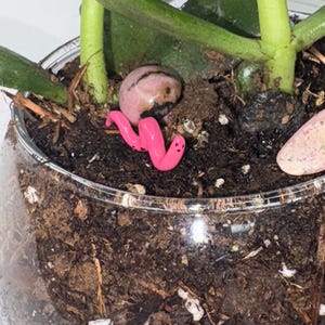 Mini Clay Garden Creatures – Handmade Snail & Worm Plant Decor ...