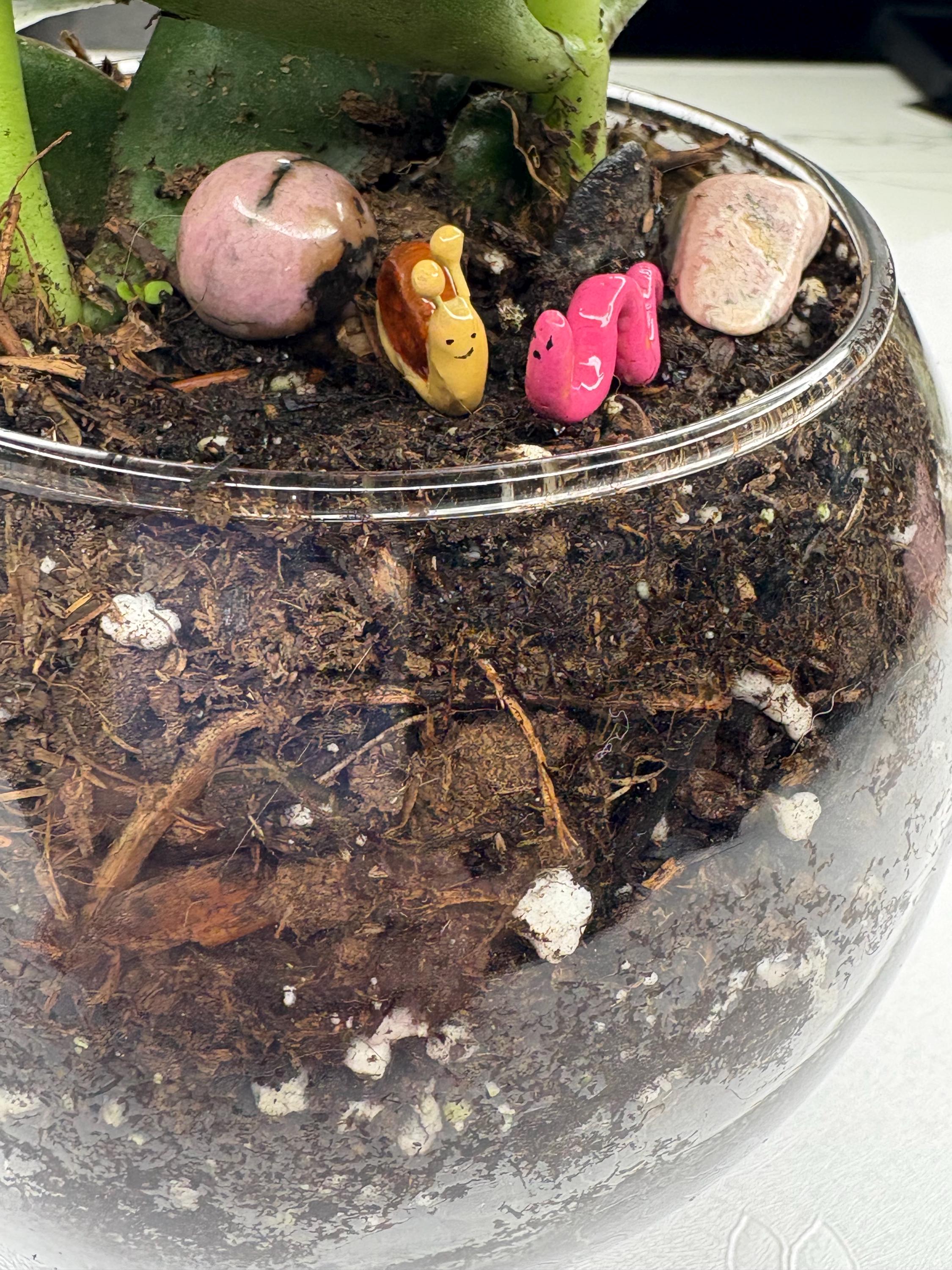 Mini Clay Garden Creatures – Handmade Snail & Worm Plant Decor ...