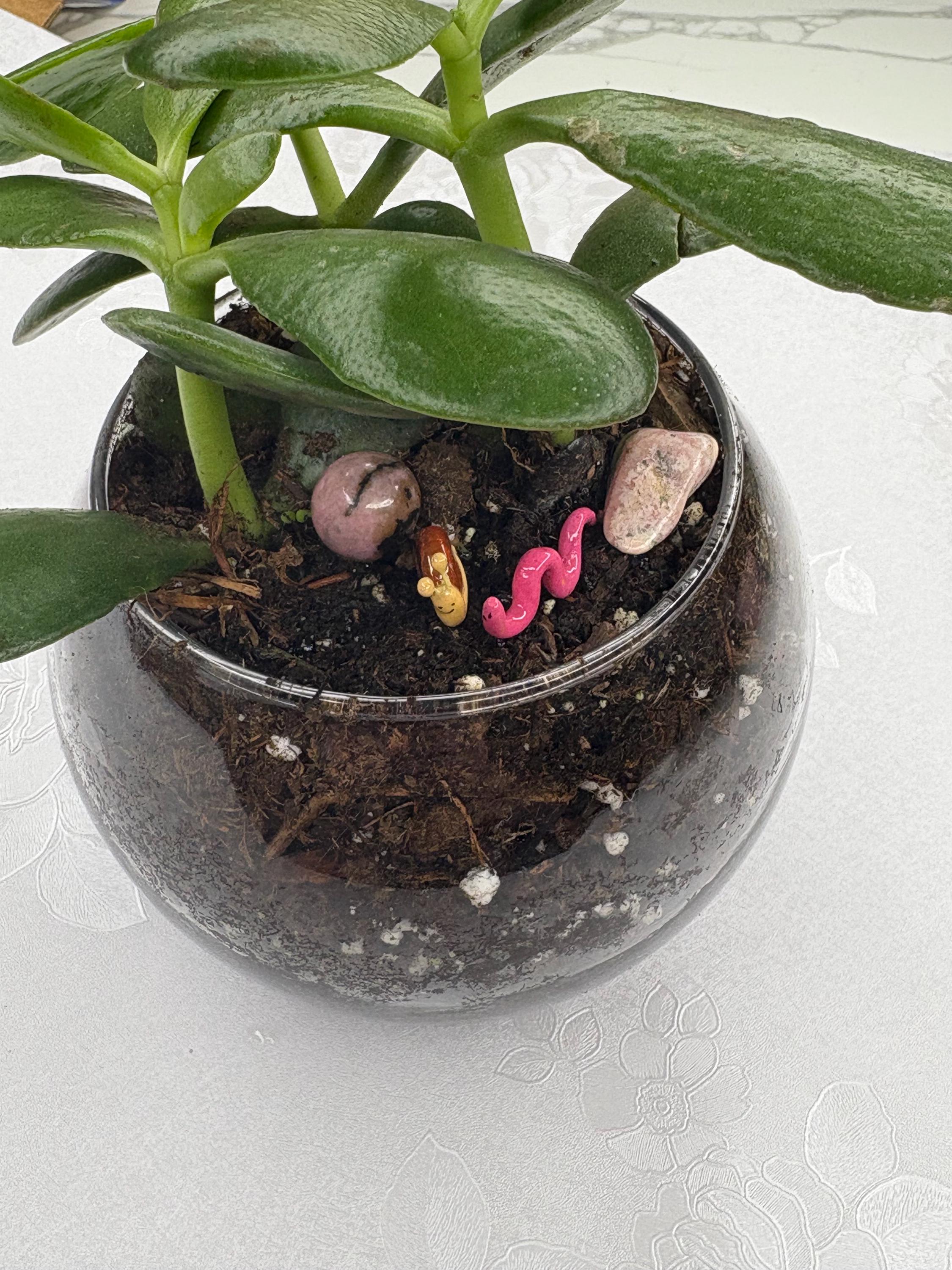 Mini Clay Garden Creatures – Handmade Snail & Worm Plant Decor ...