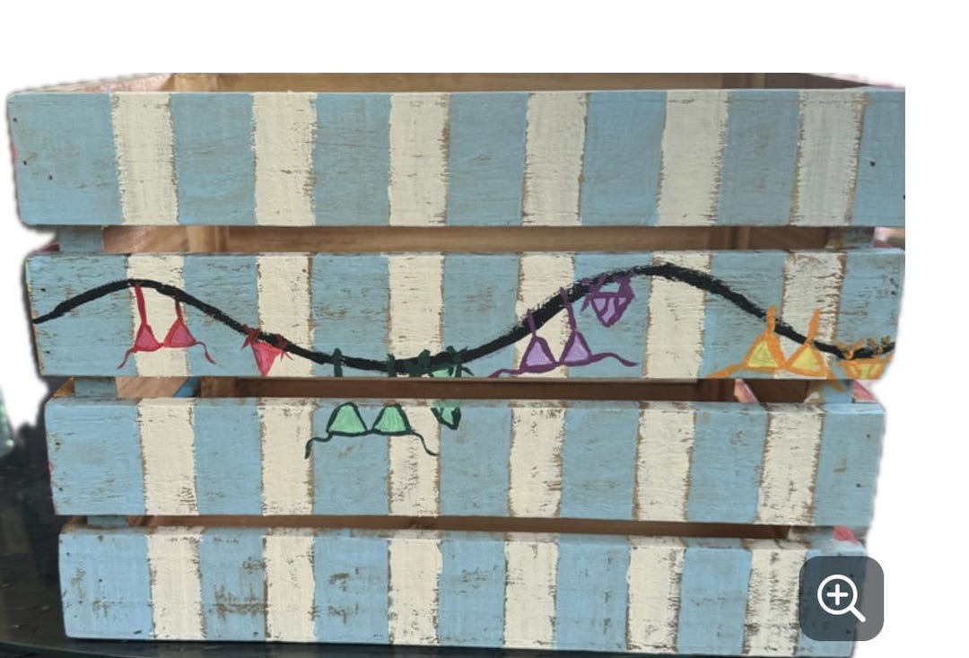 Bikini Box, Summer Organization, Beach Organization, Storage Crate ...