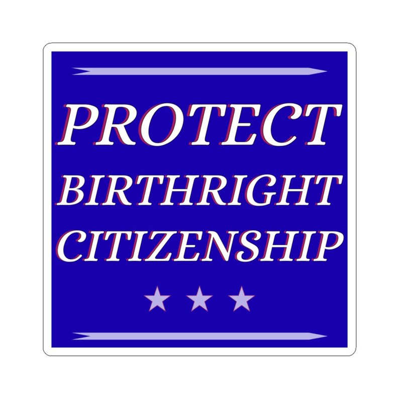 Protect Birthright Citizenship Sticker | Political Statement, Blue ...