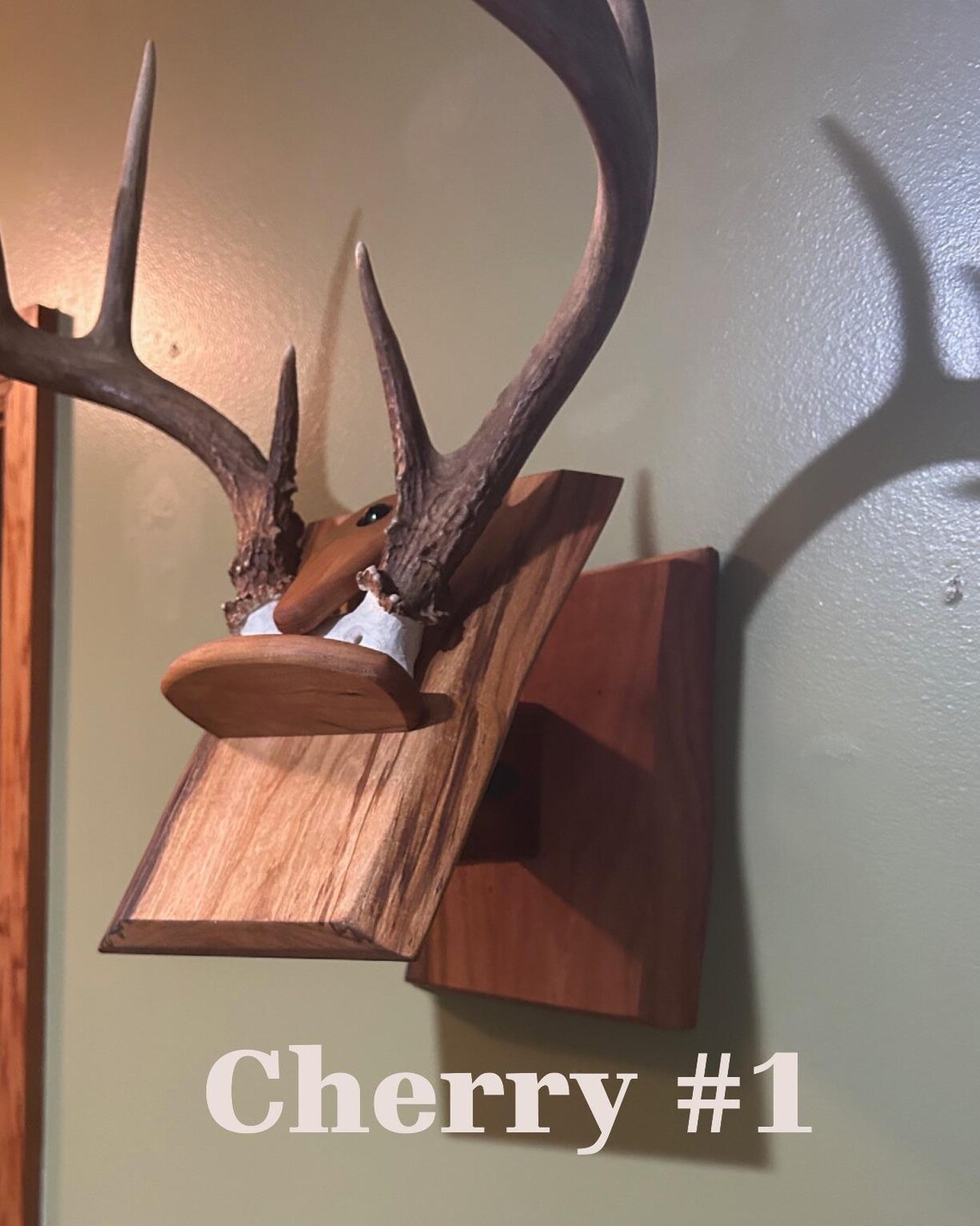 Deer Antler Skull Plate Mounting Plaque Made From Live Edge Boards That ...
