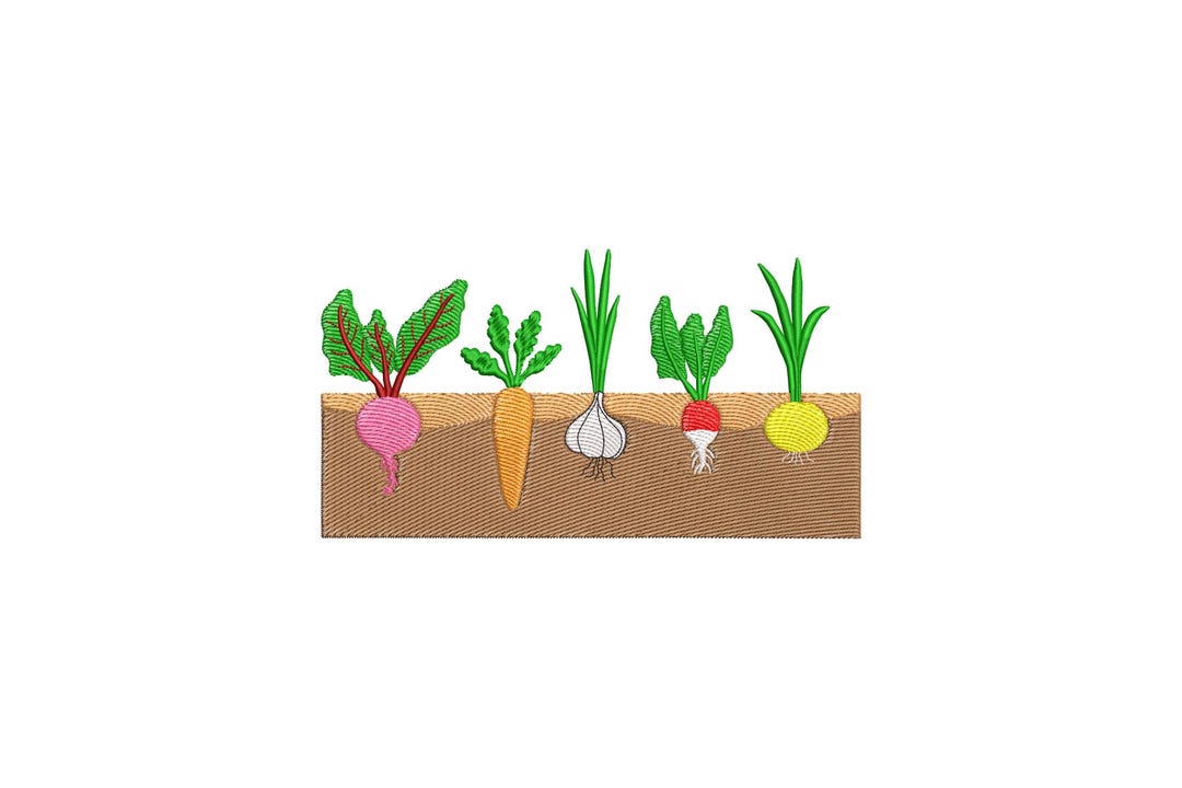 Root Vegetables Machine Embroidery Design, Vegetables Embroidery ...
