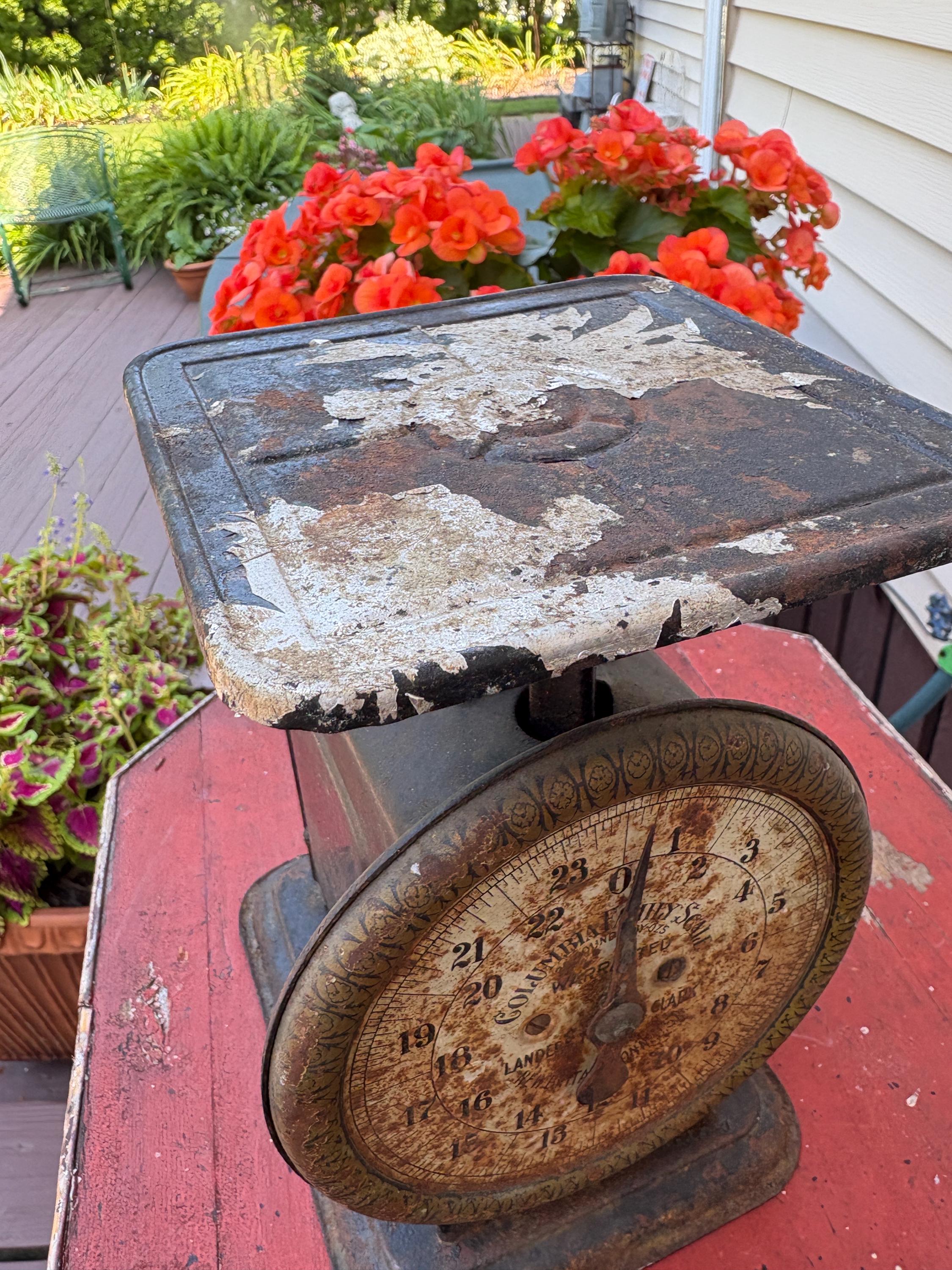 Antique Primitive Scale Farmhouse Primitive Kitchen Decor Columbia ...