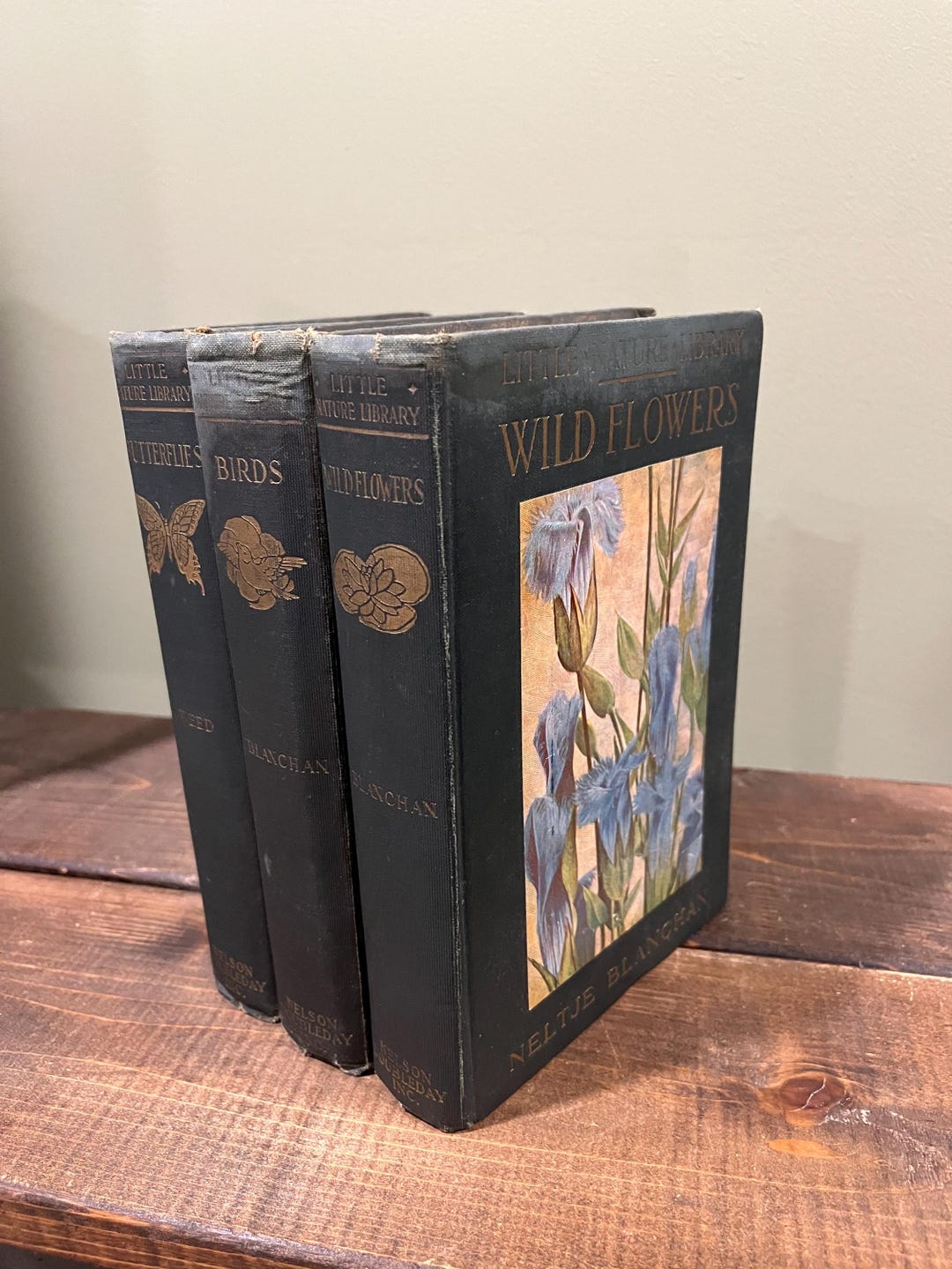 Little Nature Library Vintage Books, Butterflies, Birds and Wild ...