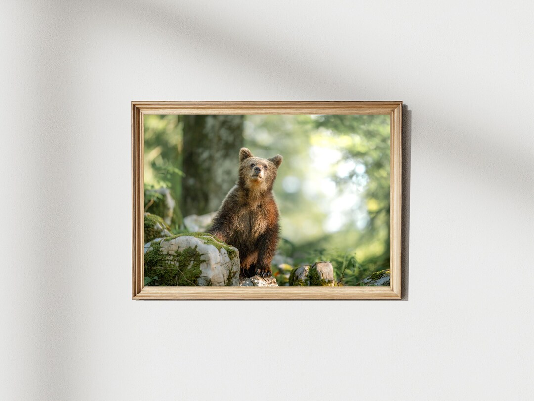 005 | Brown Bear Digital Poster | Animal Photo | Art Print | Wall Art ...