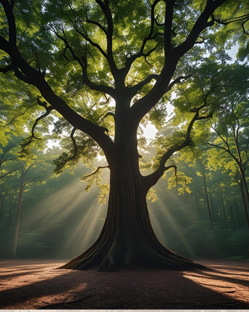 Sunlit Tree Art: Nature-inspired Home Decor - Etsy