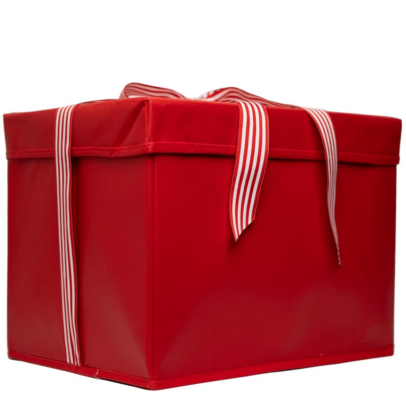 Red Gift Box With Ribbon - 60+ Gift Ideas for 2026