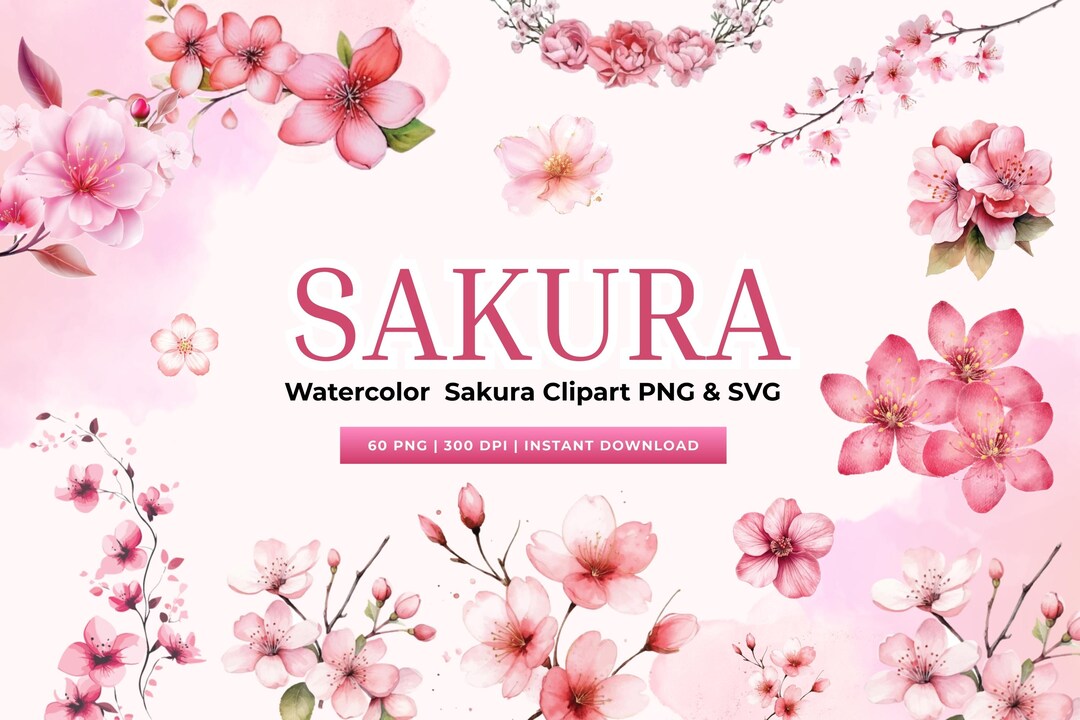 Watercolor Sakura Clipart PNG, Cherry Blossom Branches, Spring Flowers ...