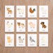 20 Farm Animal Flashcards, Montessori Toddler Cards, First Words ...
