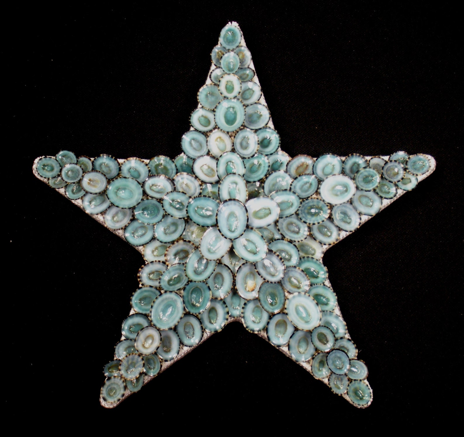 Sea Shell Star Covered in Limpet Shells. - Etsy