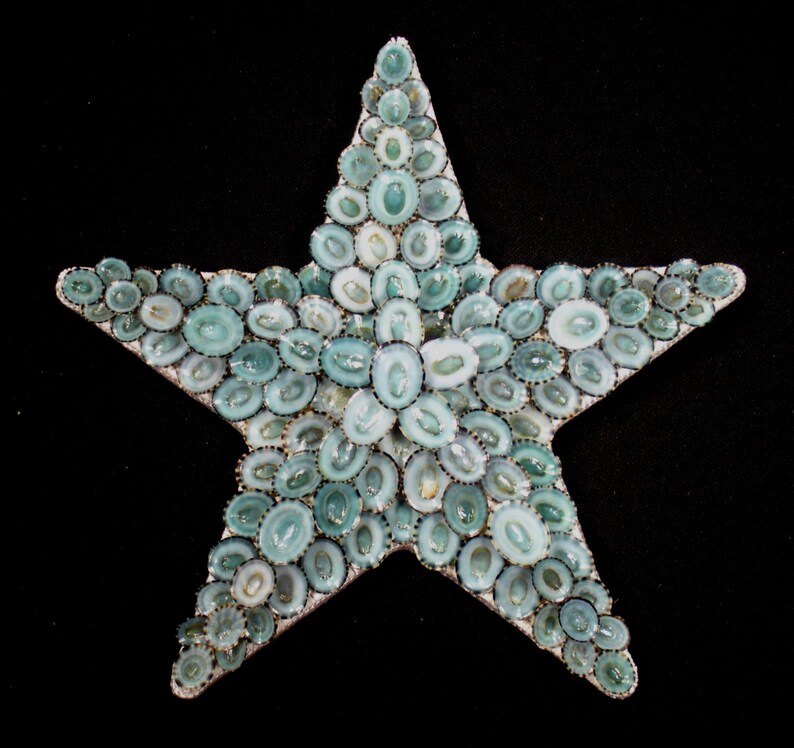 Sea Shell Star Covered in Limpet Shells. - Etsy