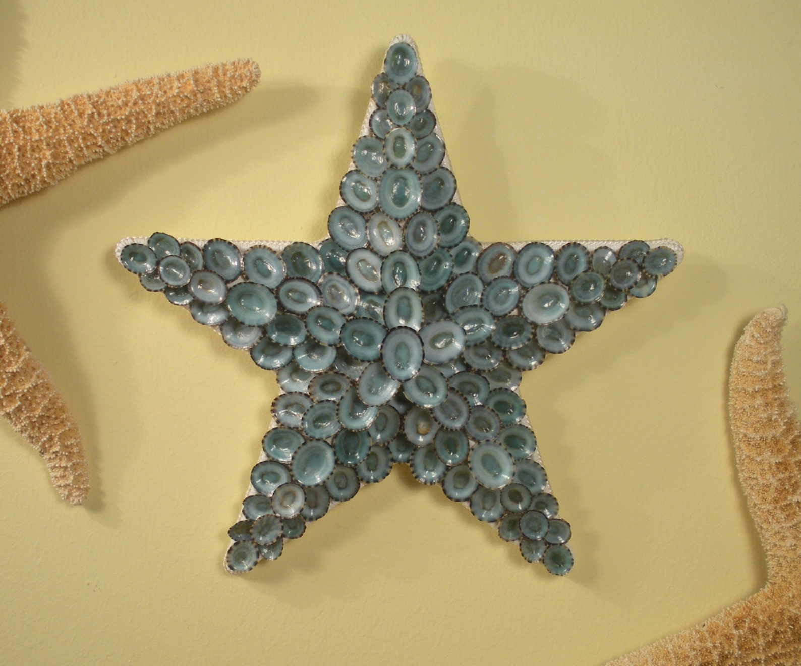 Sea Shell Star Covered in Limpet Shells. - Etsy