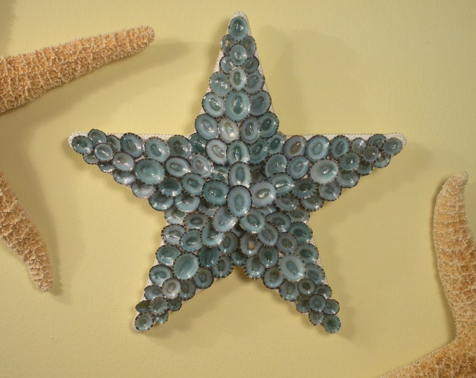 Sea Shell Star Covered in Limpet Shells. - Etsy