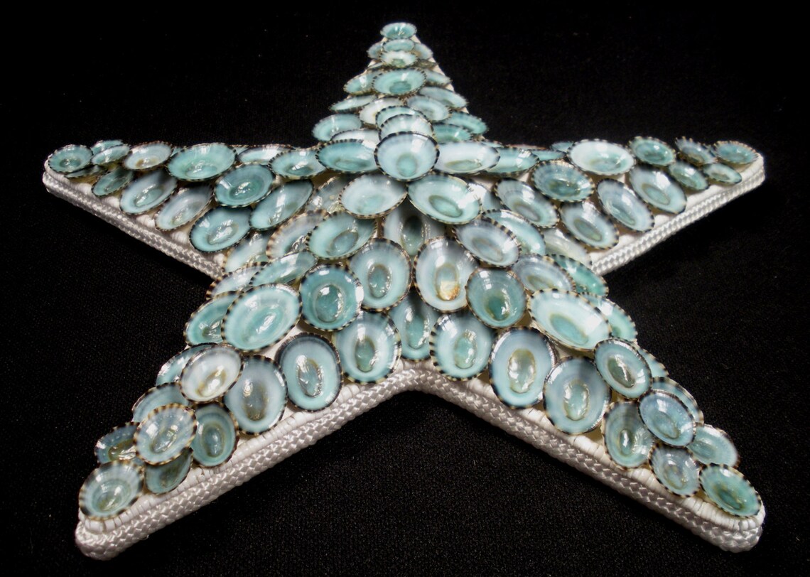 Sea Shell Star Covered in Limpet Shells. - Etsy