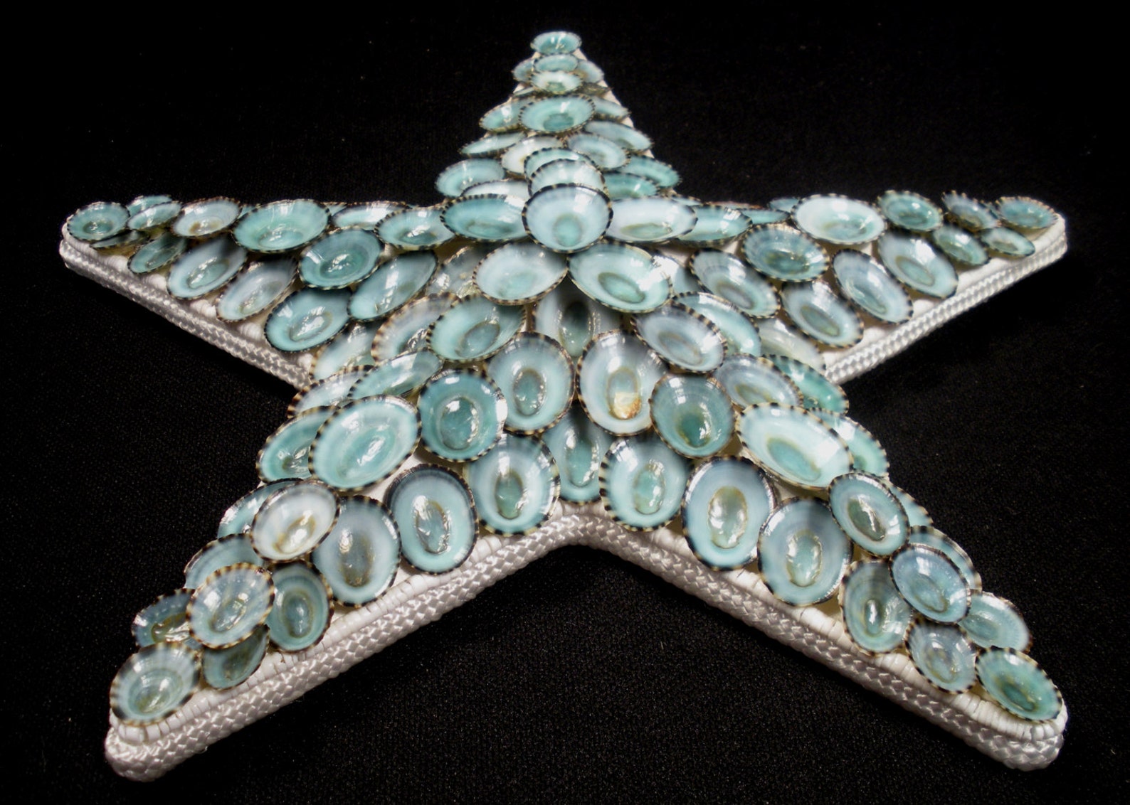 Sea Shell Star Covered in Limpet Shells. - Etsy