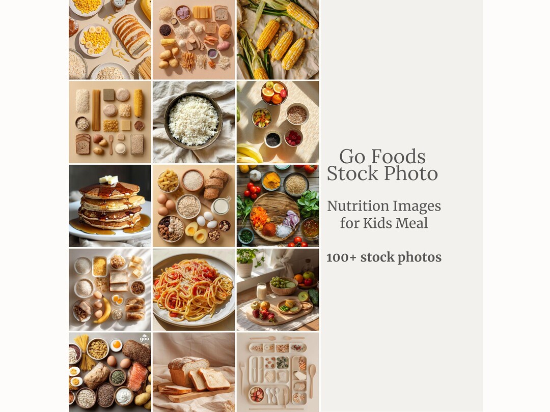 Go Foods Stock Photo Bundle: Kids Nutrition, Meal Charts (PNG) - Etsy