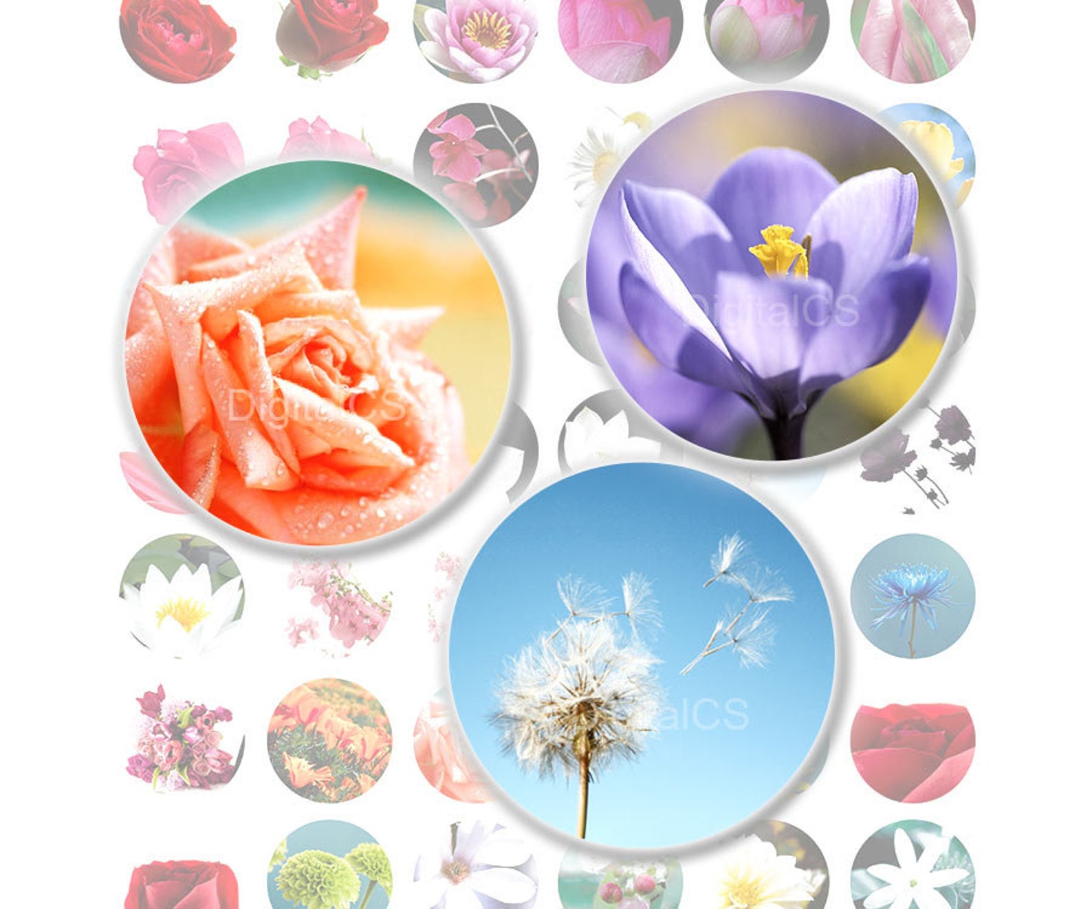 Digital Collage Sheet Flowers Digital Collage Circle 1x1 Digital ...