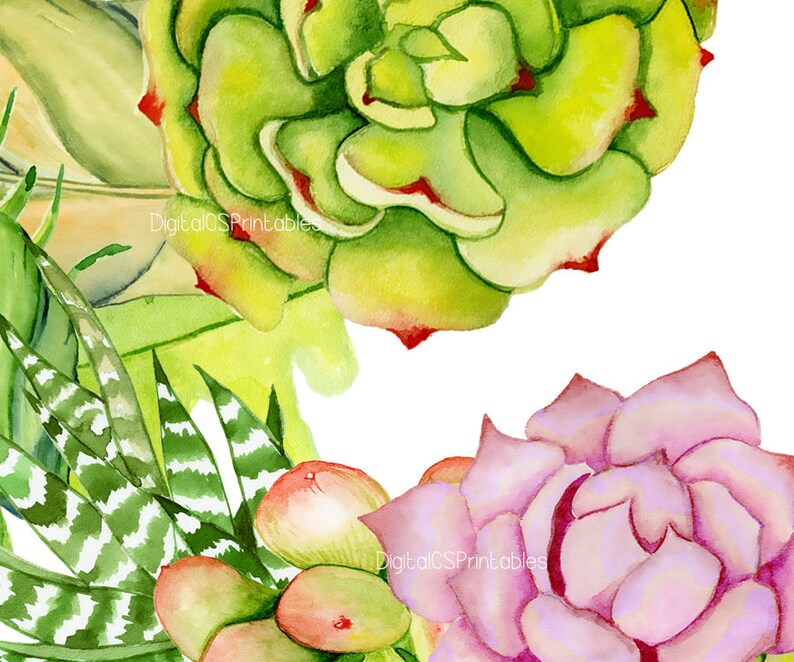 Watercolor Succulent Clipart Wreath Succulent Wreath Clipart - Etsy