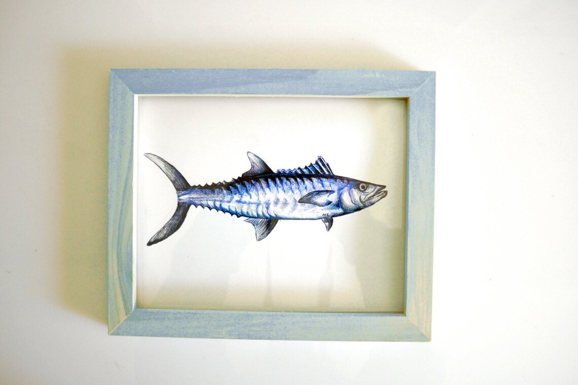 Kingfish Drawing Fish Art Print Fishing Gift 8 X - Etsy