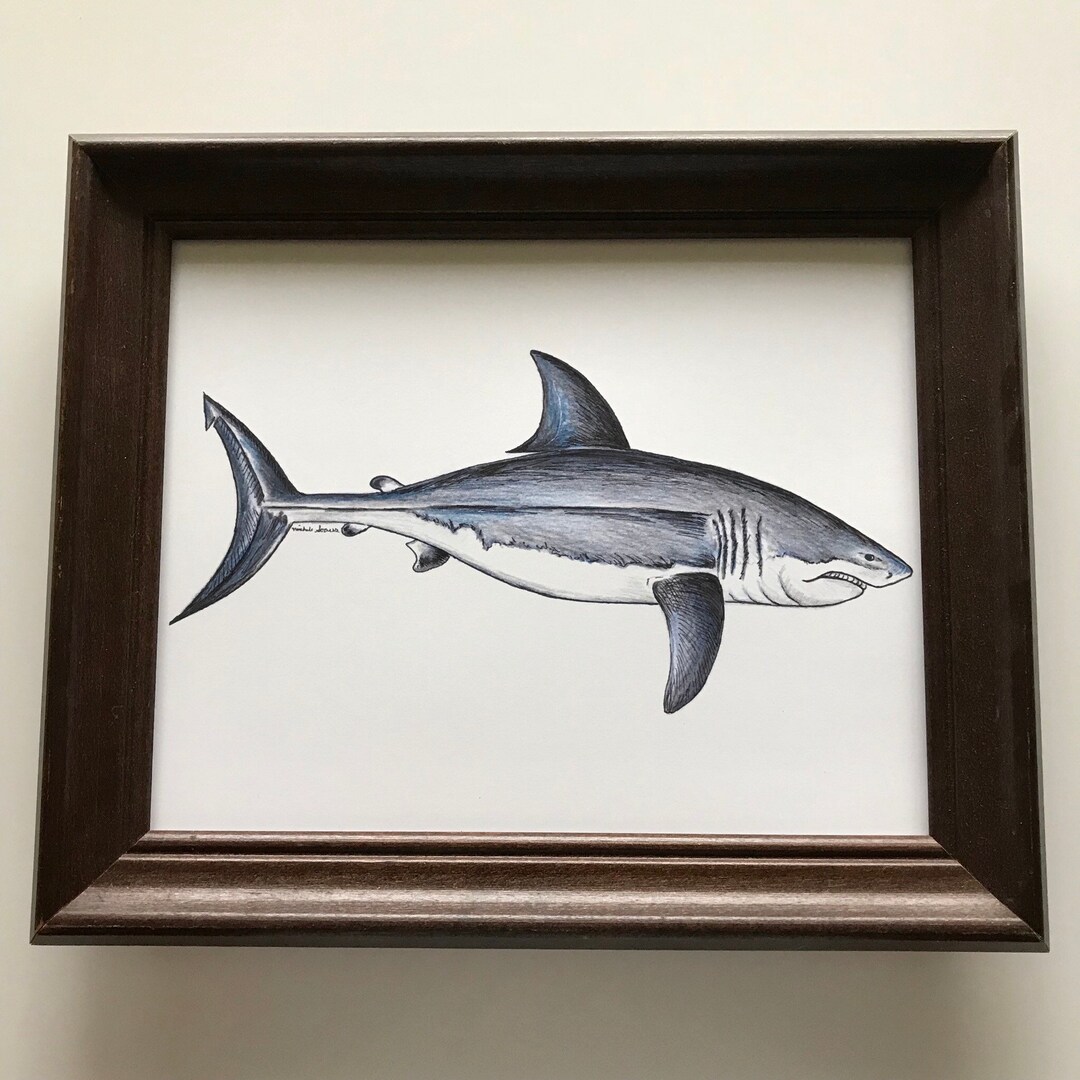 Great White Shark Art Print - Shark Ink Drawing - Giclee Print - Shark ...