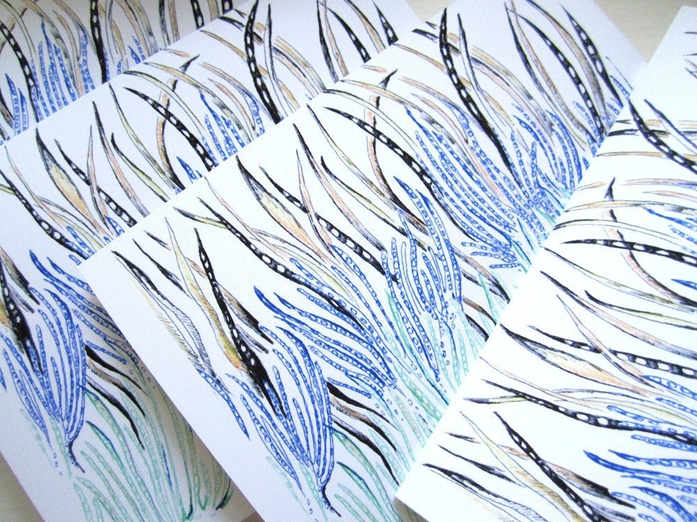 Sea Life Stationery Set Seaweed Art Cards Ocean Art | Etsy