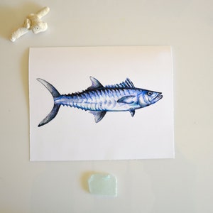 Kingfish Drawing - Fish Art Print - Fishing Gift - 8 X 10" Giclee Print ...