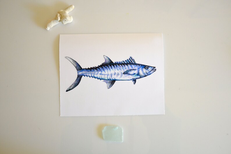 Kingfish Drawing - Fish Art Print - Fishing Gift - 8 X 10" Giclee Print ...