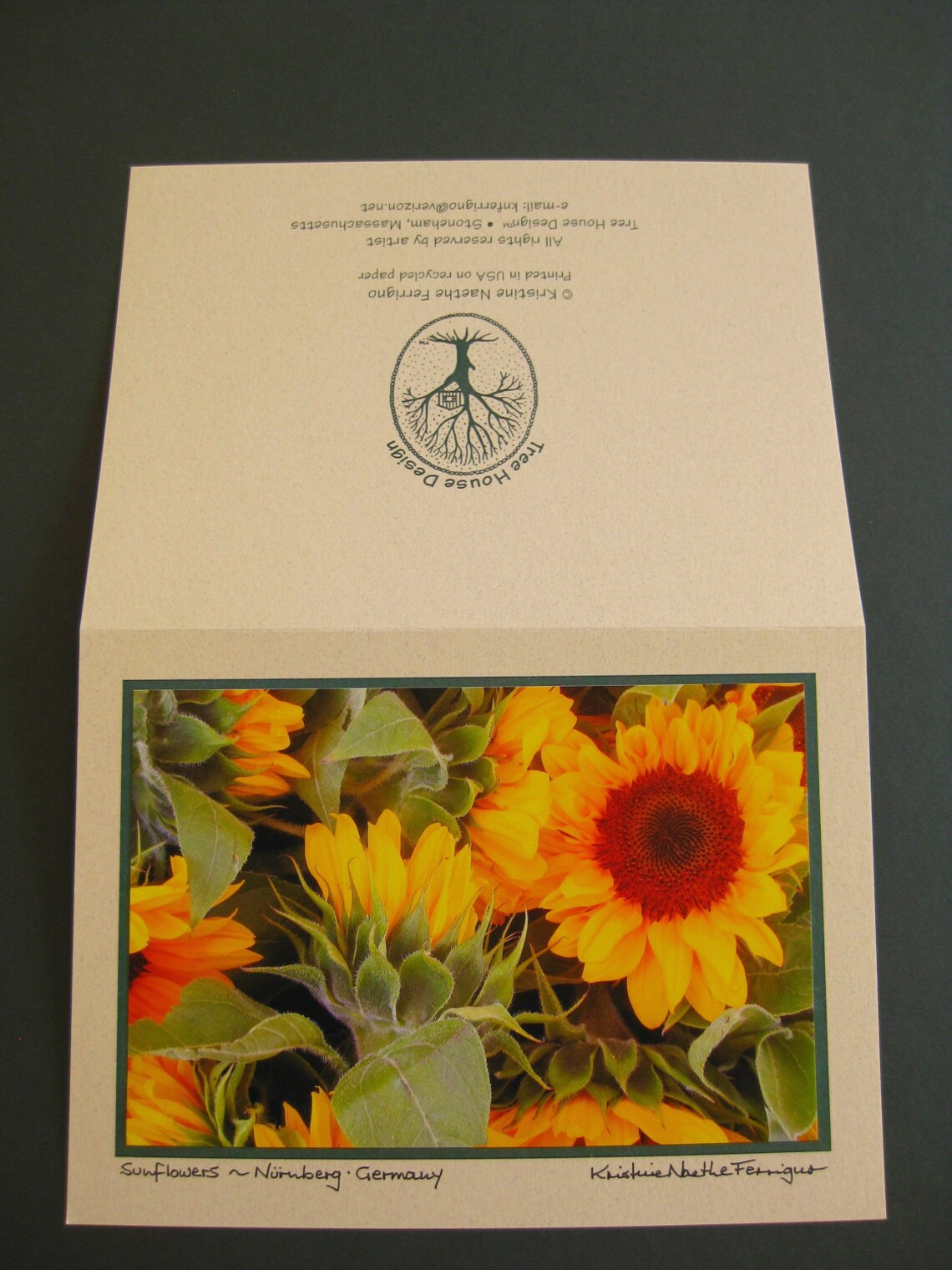 Christa Bear Photo Card - Etsy