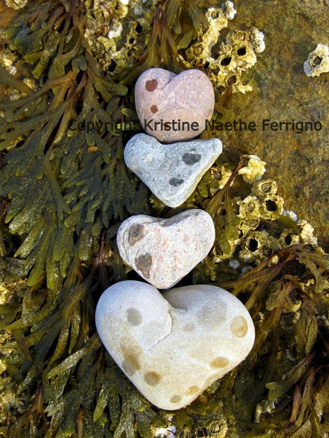 Heart Rocks No. 7 Photo Card - Etsy
