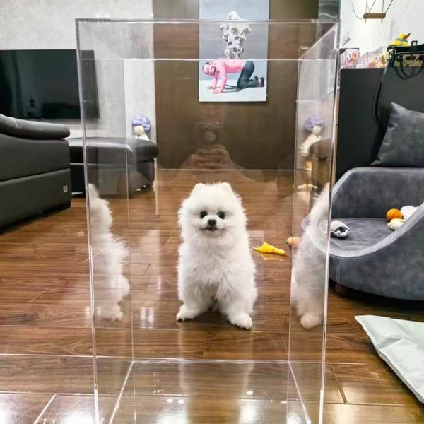 Labubu Display Cases - Etsy