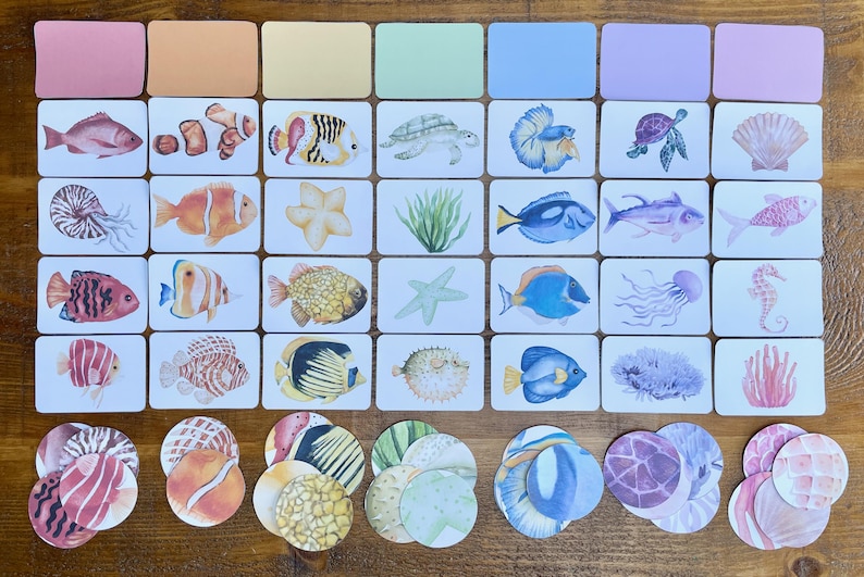 Coral Reef Fish Flashcards Colour and Pattern Matching | Instant ...