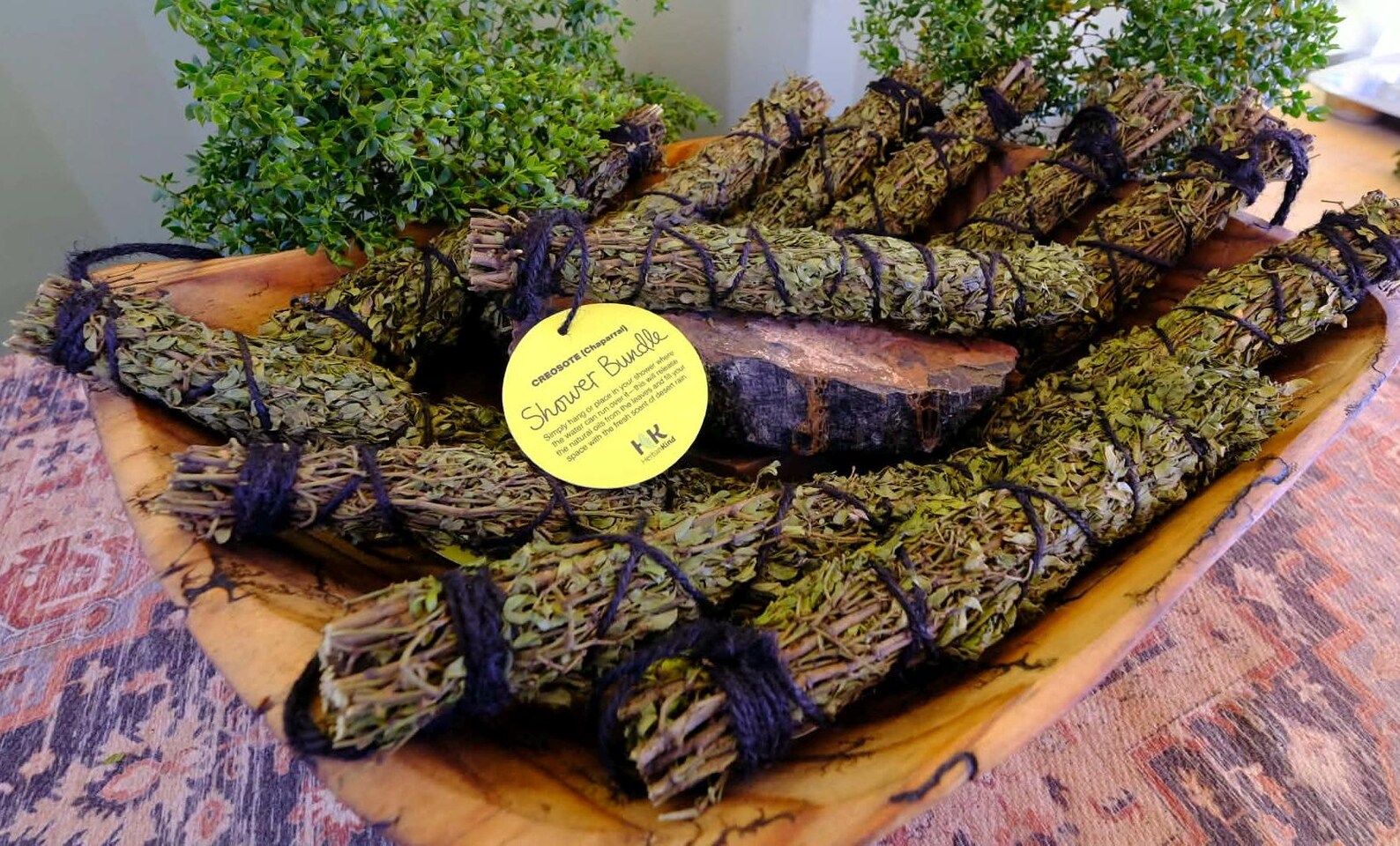 Fresh Gift of Desert Rain Shower Bundle Creosote Plant (chaparral ...