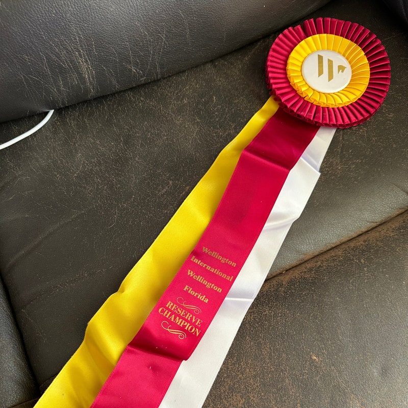 Horse Show Ribbons - Etsy