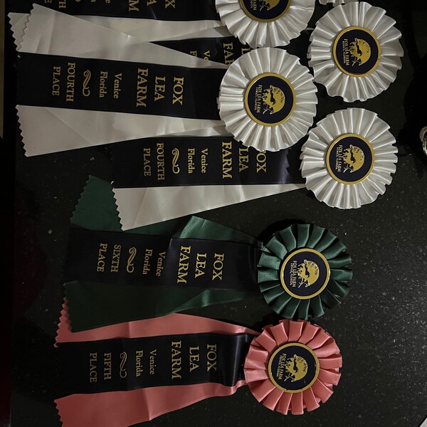 6th Place Ribbon - Etsy