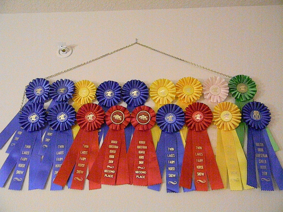 Custom Equestrian Hanging Ribbon Rack - 2 ROWS - Holds up to 18 Ribbons ...