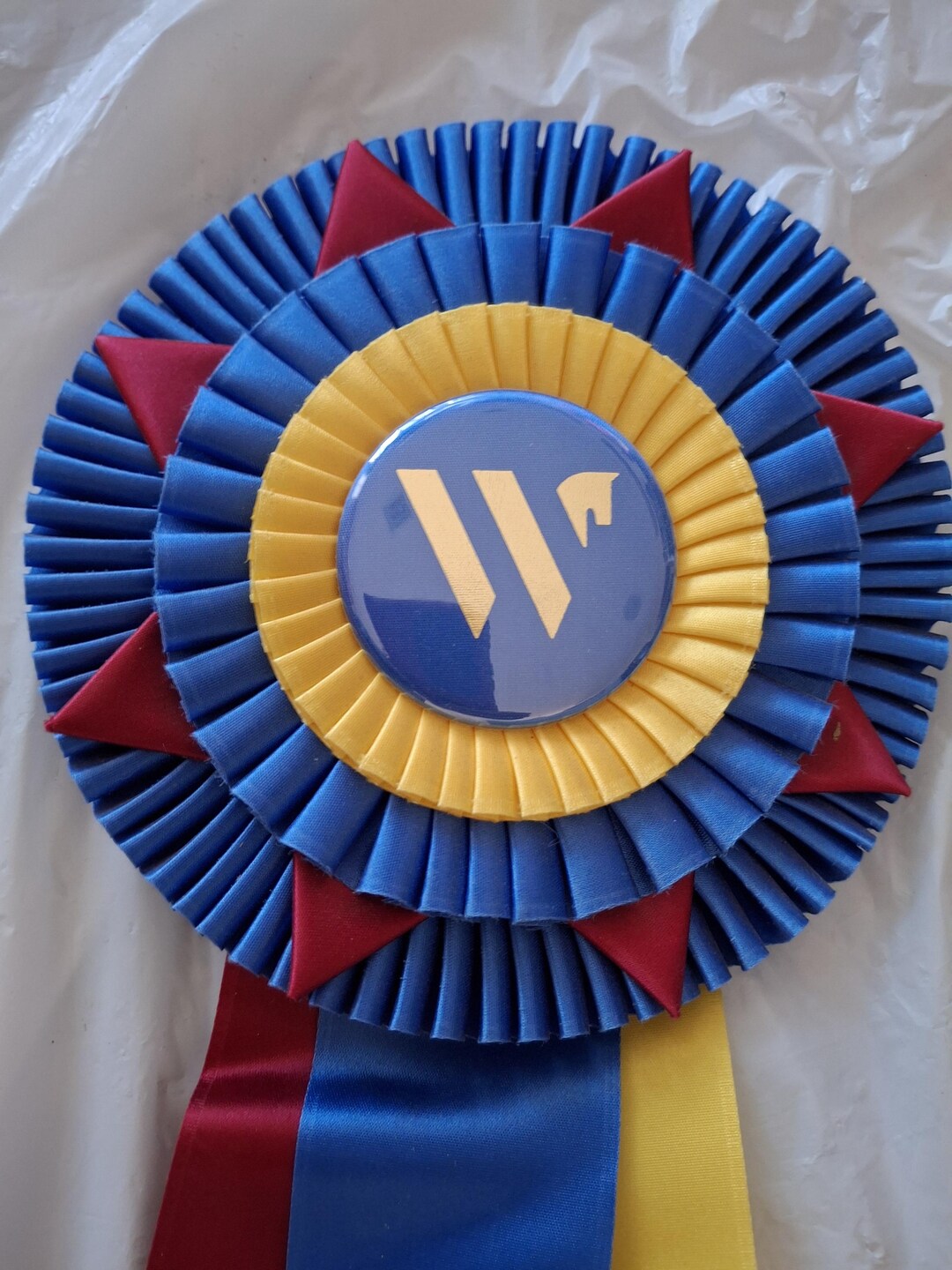 Championship Horse Show Ribbons From WEF - Etsy