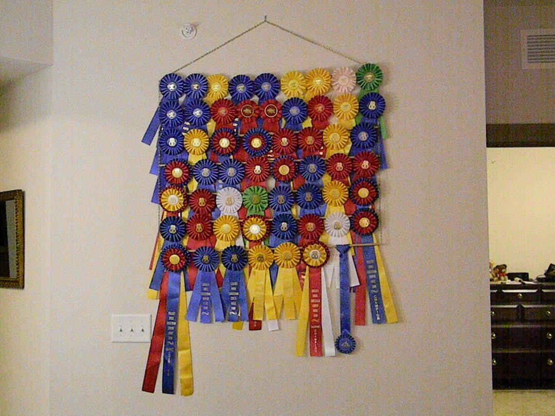Custom Equestrian Hanging Ribbon Rack - 7 ROWS - Holds up to 63 Ribbons ...