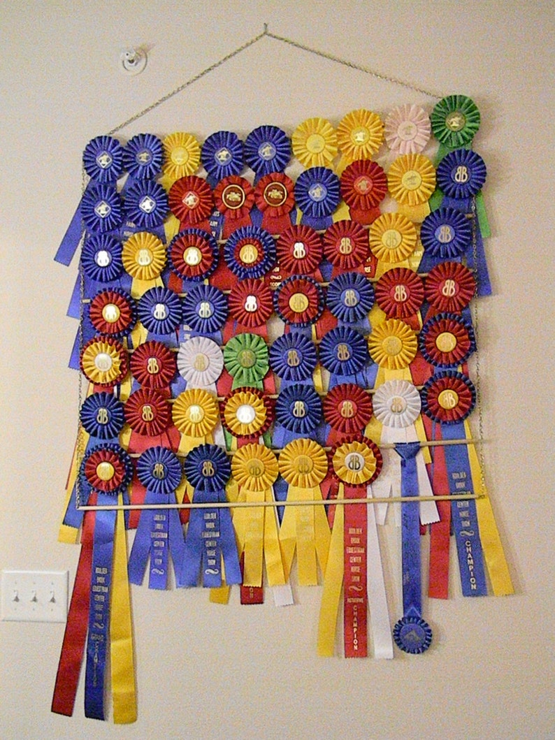 Custom Equestrian Hanging Ribbon Rack - 8 ROWS - Holds up to 72 Ribbons ...