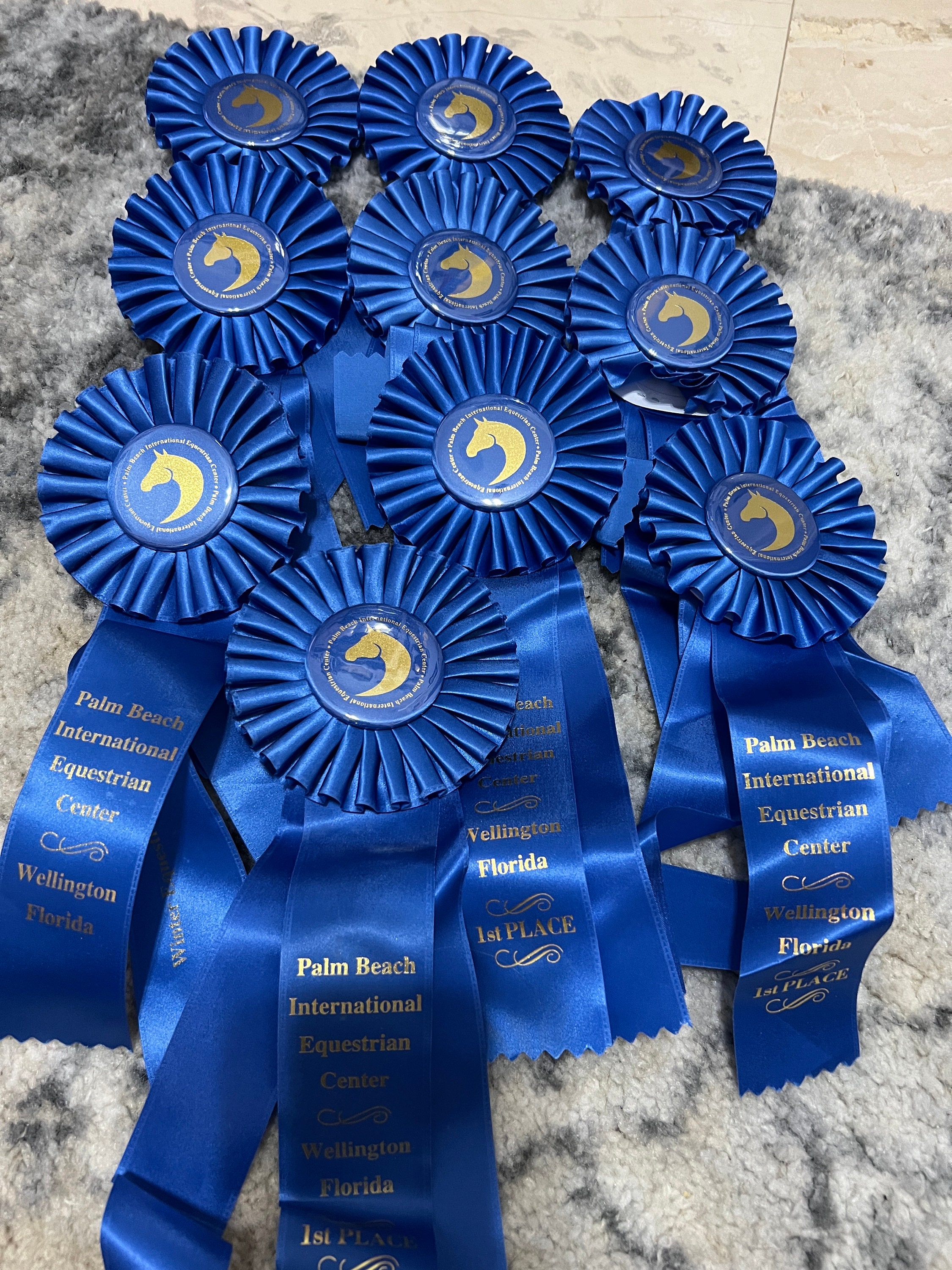 Used Horse Show Ribbons 1st Place WEF, Schooling Shows & Generic - Etsy