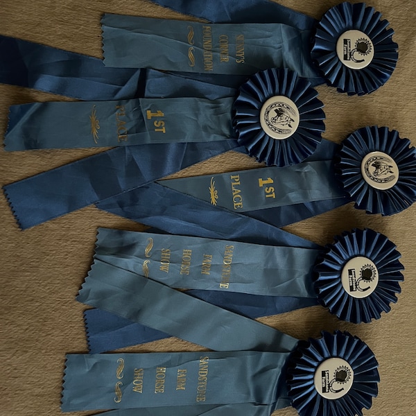 Horse Show Ribbons - Etsy
