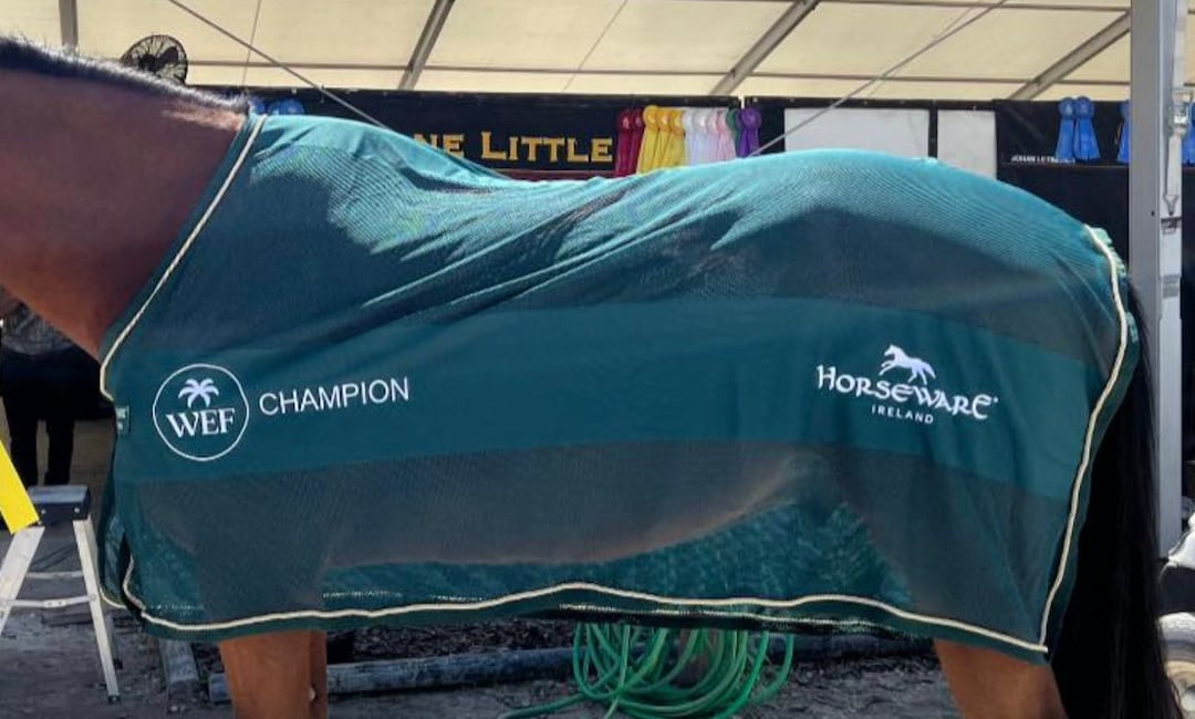 WEF Champion Green Scrim With Logos Size 78" - Etsy