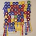 Custom Equestrian Hanging Ribbon Rack - 10 ROWS - Holds up to 90 ...