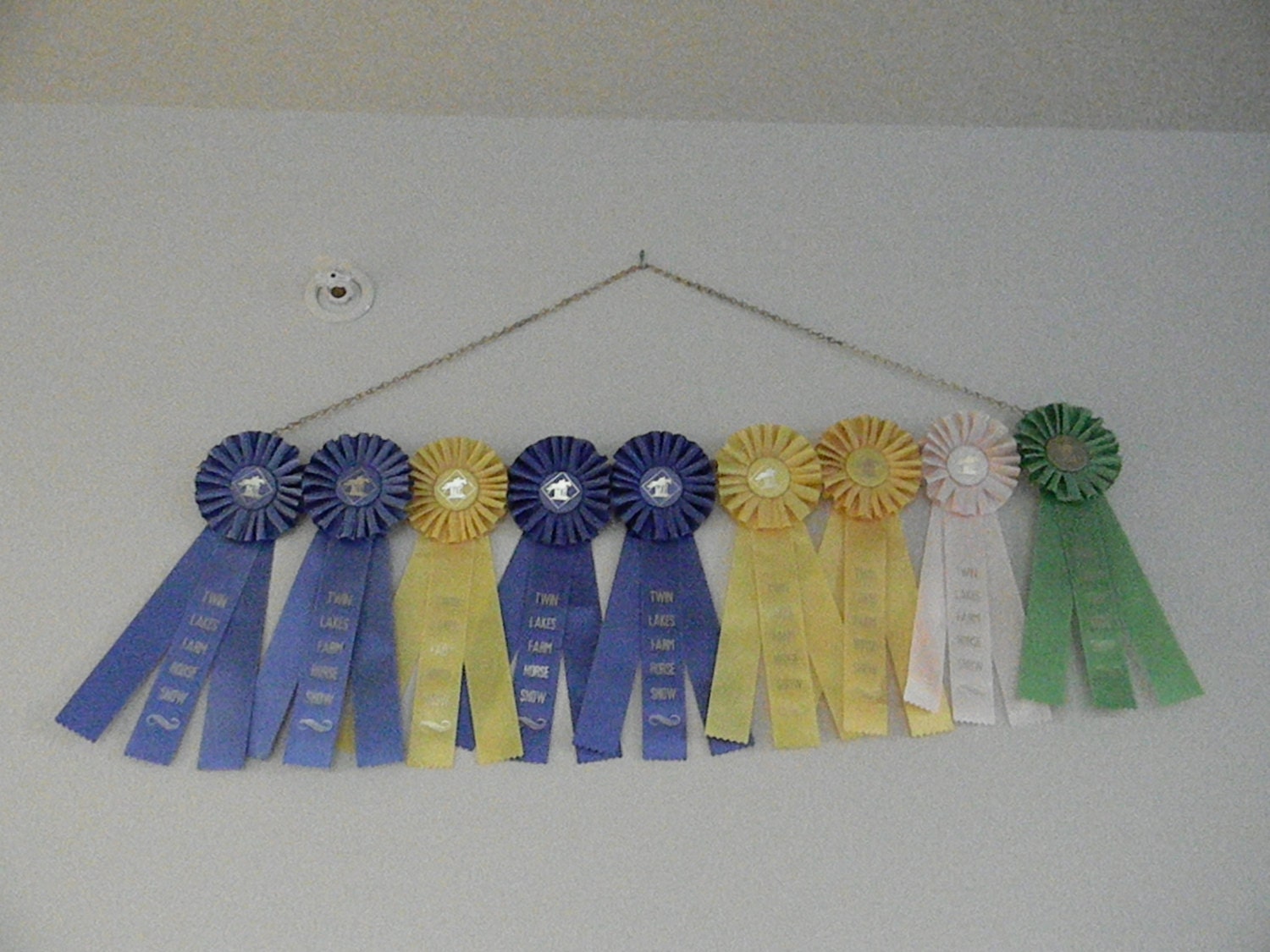 Custom Equestrian Hanging Ribbon Rack - 1 ROWS - Holds up to 9 Ribbons ...