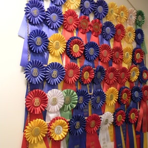 Custom Equestrian Hanging Ribbon Rack - 8 ROWS - Holds up to 72 Ribbons ...