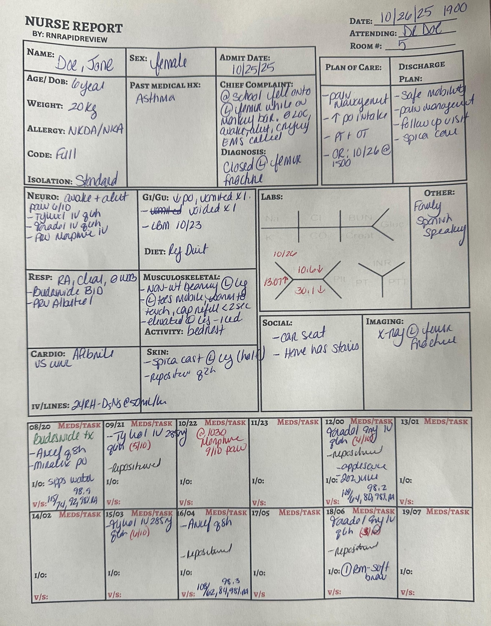 Nurse Report Sheet With Hourly Rounding: Printable RN Handoff Notes ...